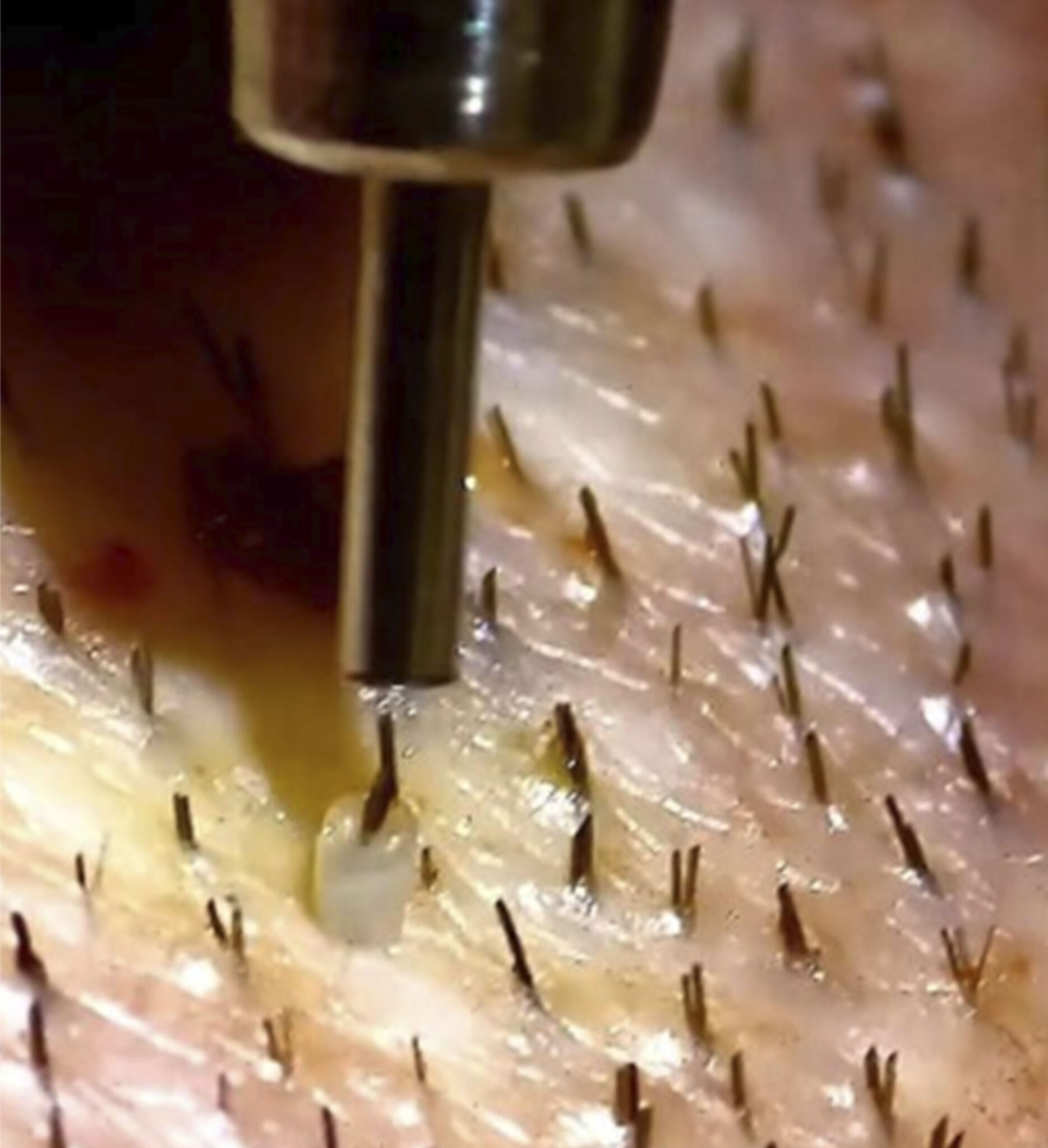 Home EN - Thiago Bianco